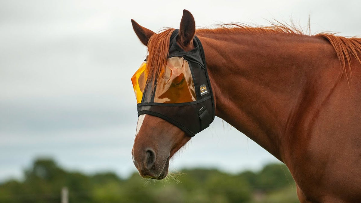 Standard Restoration Equine Mask – Kissing Horse Ranch